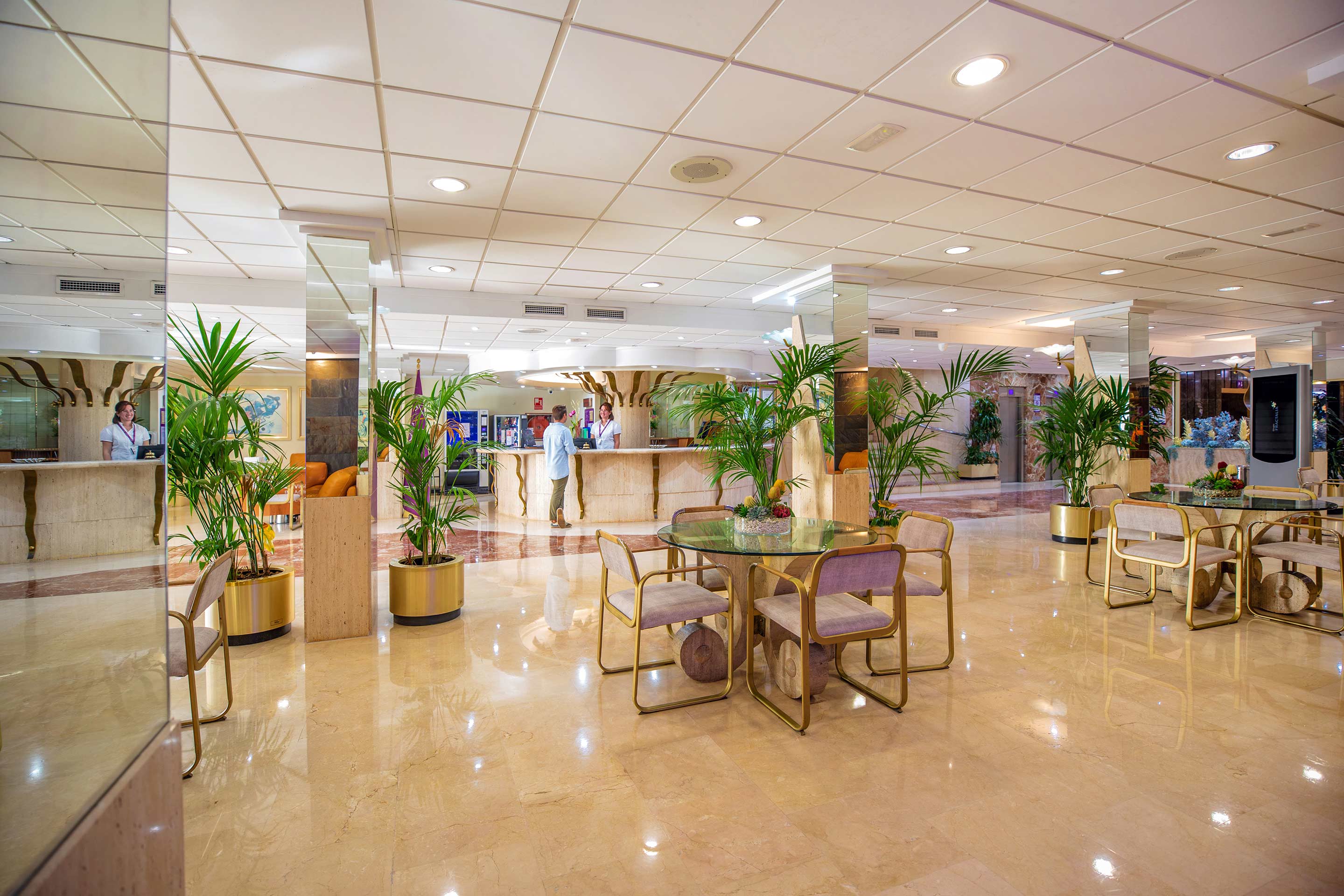 Hotel Diplomatic**** | Lauwers