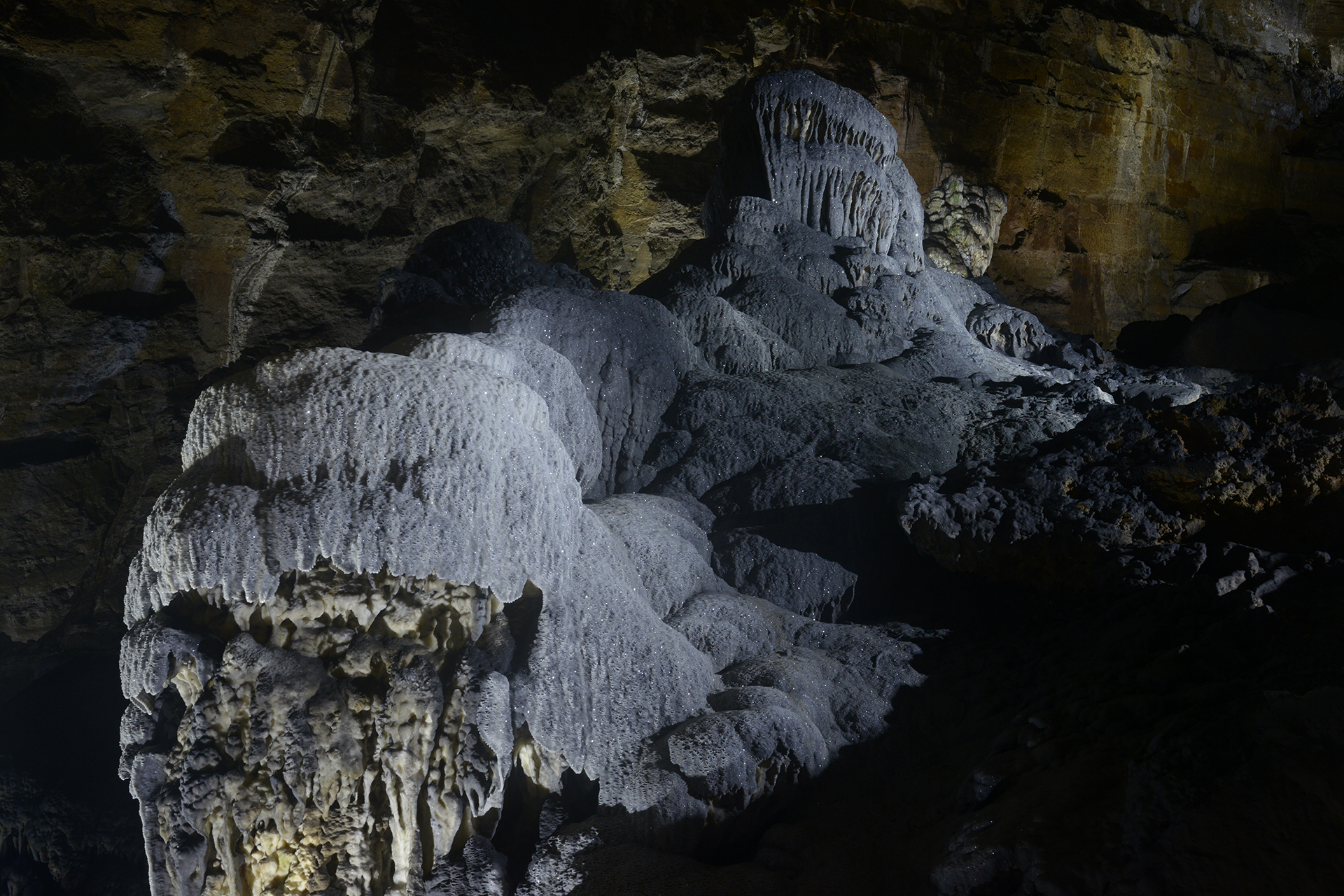 Grotten van Han - Familiedag | Lauwers